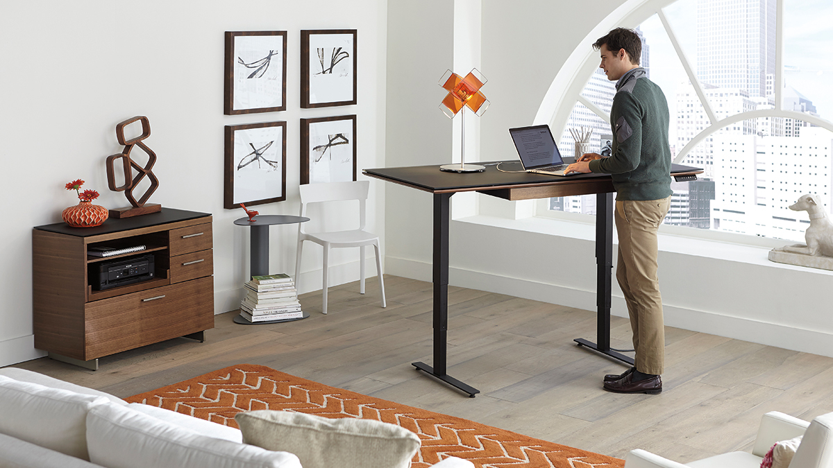 Take A Stand: How Standing Desks Promote Health And Productivity | BDI ...